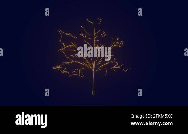 Canada maple tree Stock Videos & Footage - HD and 4K Video Clips - Alamy