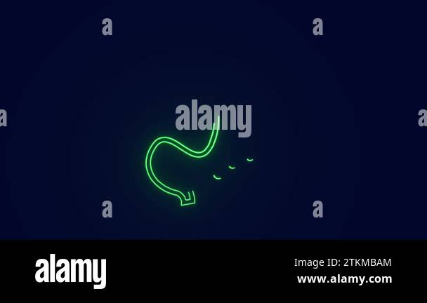 Healthy human Stomach anatomy of Digestive system Animation Stock Video ...