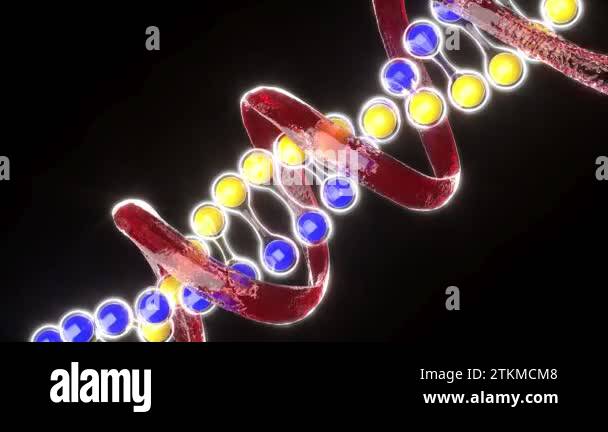 Ukrainian blood DNA model revolves around a spiral animation on a black ...