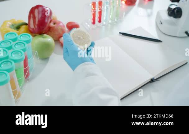 Scientist check chemical fruit residues in laboratory. Control experts ...
