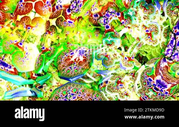 Psychedelic Camera Flight for Concerts and Nightclubs. Experience a ...