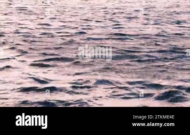 Morning sunrise sea marine scene in 4k. Stable video shot of sea ...
