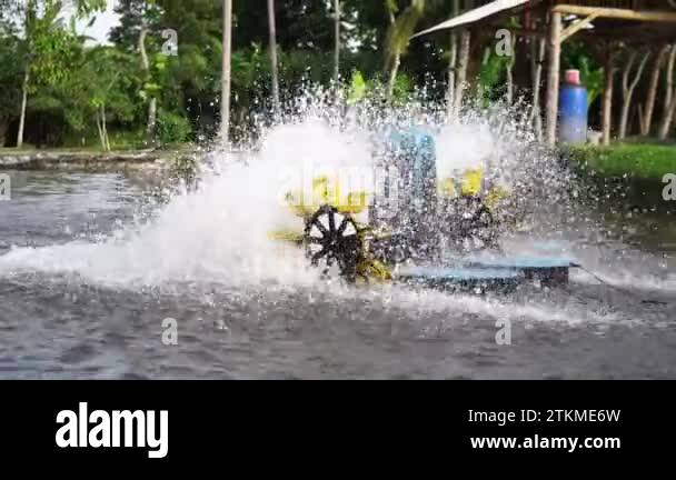 Waterwheel in red tilapia fish farming pond. Waterwheel system to ...