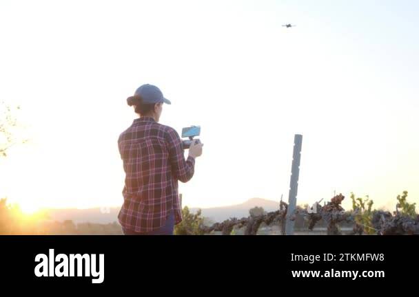 Young farmer inspects her crop field using a drone and analyzes ...