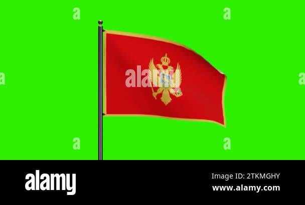 3D Rendered Montenegro National Flag Waving Animation with Realistic ...