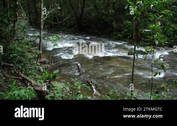 Beautiful waterfall in the rainforest with clear water. Stream running ...
