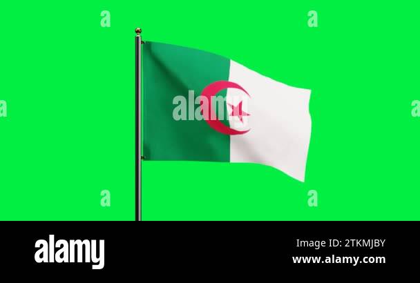 3D Rendered Algeria National Flag Waving Animation with Realistic Wind ...