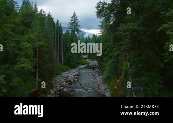 Aerial view of beautiful mountain landscape. A mountain river flows among tall trees, clouds ...
