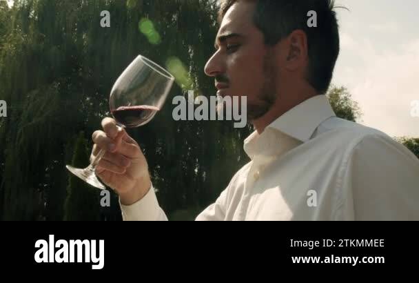 Positive sommelier mixing red wine in glass evaluating color at tasting ...