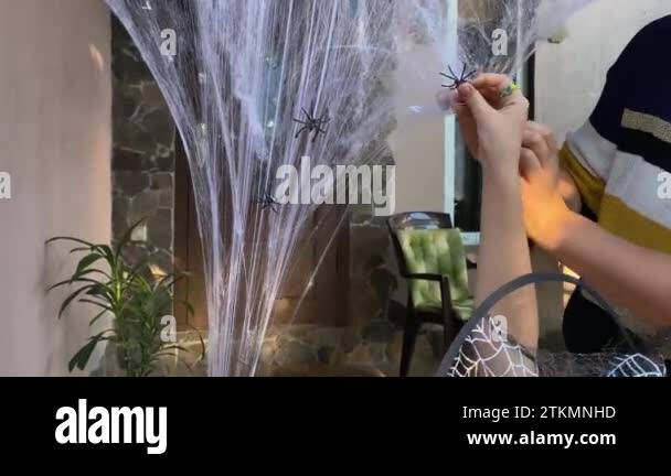 White porch spider Stock Videos & Footage - HD and 4K Video Clips - Alamy