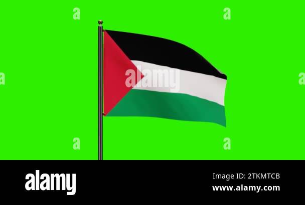 3D Rendered Palestine National Flag Waving Animation with Realistic ...