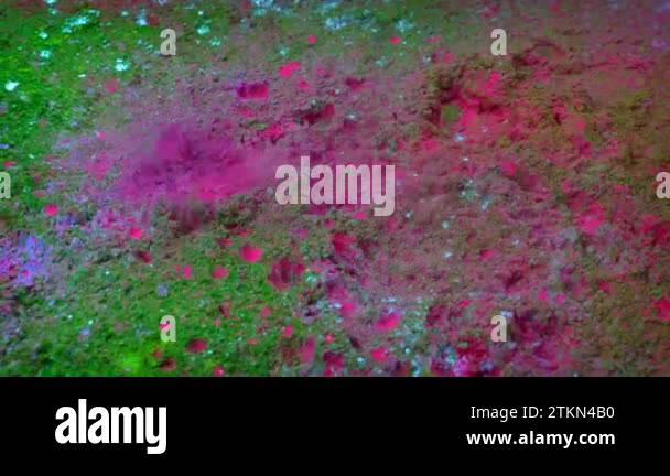 Festival ground floor Stock Videos & Footage - HD and 4K Video Clips ...