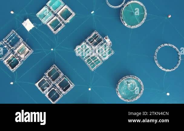 Farms fish Stock Videos & Footage - HD and 4K Video Clips - Alamy