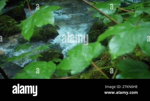 River flowing between rocky banks in the wild. Brook streaming water in ...