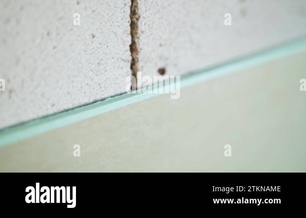 Moisture resistant drywall and aerated concrete close-up. Smooth camera ...