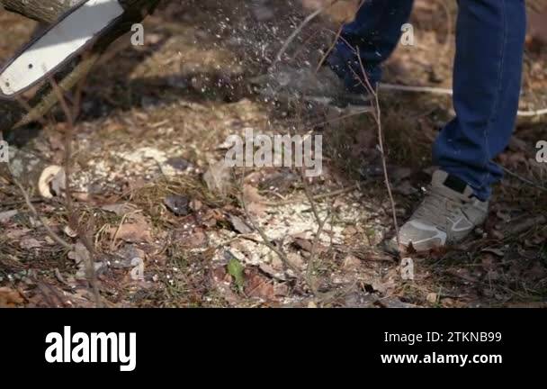 An electric chain saw cuts a fallen tree branch in half Stock Video ...