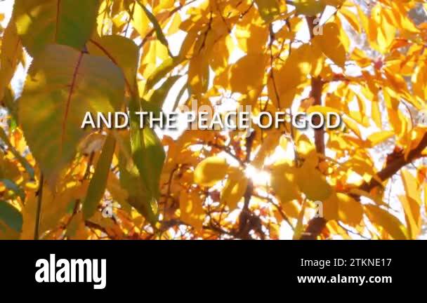 Inspirational Bible quotes for believers autumn leaves nature ...