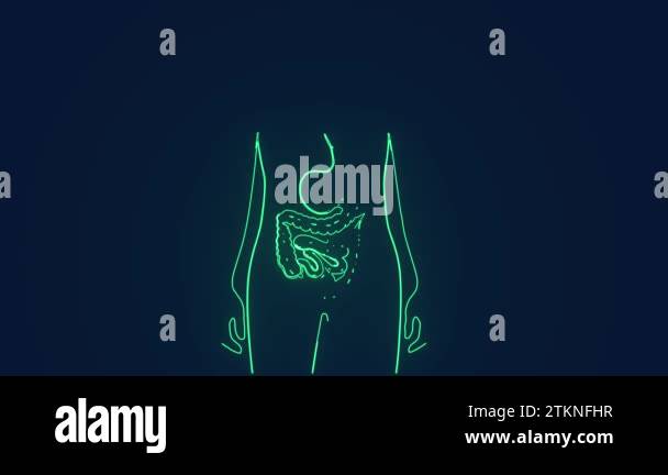 Anatomy digestive system Stock Videos & Footage - HD and 4K Video Clips ...