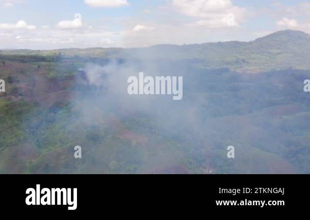 Forest fire in the mountains. Using fire to destroy natural habitat and ...