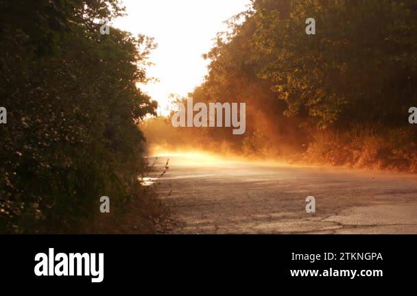 Beautiful road frame with sunset and sunny rain. Asphalt road ...