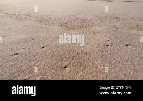 Two children run on the beach. Close up view on running legs. Footprints in the sand on the ...