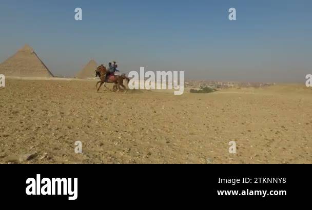 Young people galloping horse Stock Videos & Footage - HD and 4K Video ...