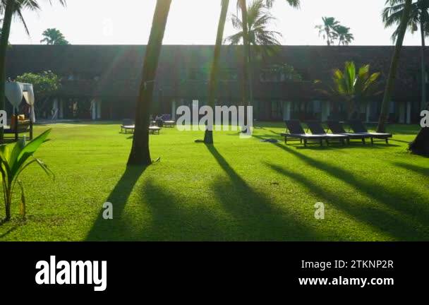 Lawn chair relax Stock Videos & Footage - HD and 4K Video Clips - Alamy