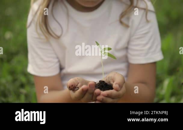Soil keeping Stock Videos & Footage - HD and 4K Video Clips - Alamy