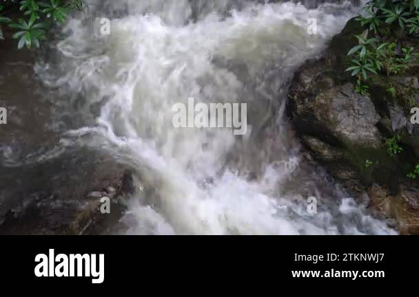 Wild natural mountain stream in tropical rainforest flow rapidly ...