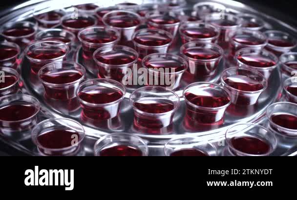 Closeup of young woman taking communion the wine symbol of Jesus Christ ...