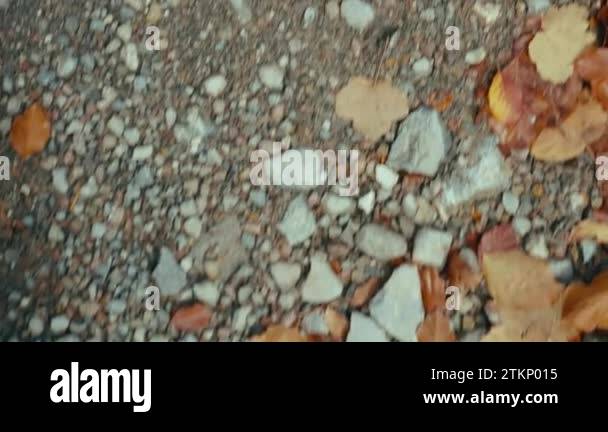 Pathway of stones Stock Videos & Footage - HD and 4K Video Clips - Alamy