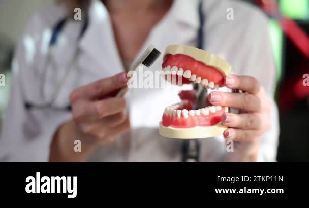 Dentist shows patient to brush teeth in dental clinic. Doctor ...