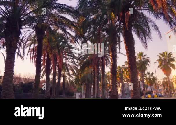 Traditional timorese games Stock Videos & Footage - HD and 4K Video ...