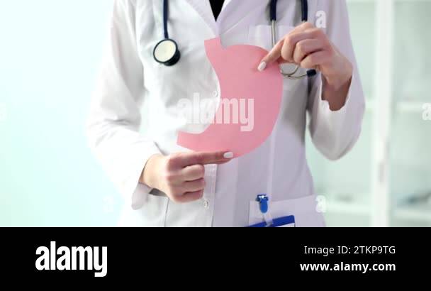 Doctor is holding decorative paper model of bowel. Gastroenterology ...