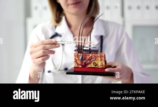 Rejuvenation anatomy Stock Videos & Footage - HD and 4K Video Clips - Alamy