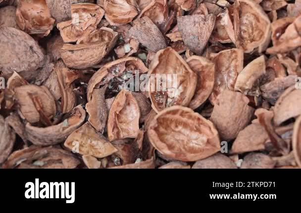 Nut patterns Stock Videos & Footage - HD and 4K Video Clips - Alamy