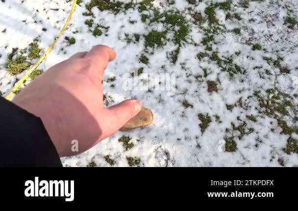 man lifts a stone. hand holding a stone. The man is holding a large ...