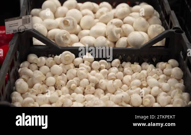 Proper boxes Stock Videos & Footage - HD and 4K Video Clips - Alamy