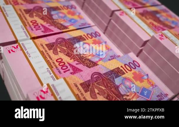West African CFA money Franc Niger Mali Senegal Africa pack loop 3d ...