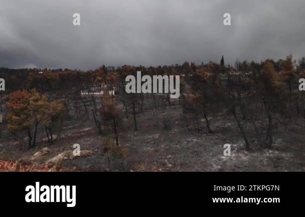 Wildfire disaster aftermath aerial view Stock Videos & Footage - HD and ...