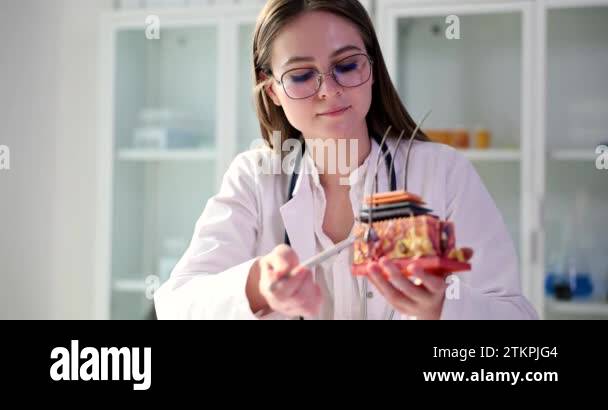Dermatologist in holds layout of anatomy of structure of skin. Skin ...