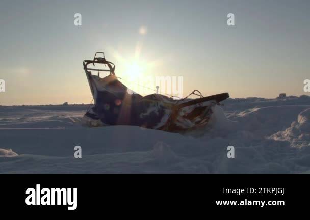 Alaskan Hasky sled dogs at North Pole in Barneo Stock Video Footage - Alamy