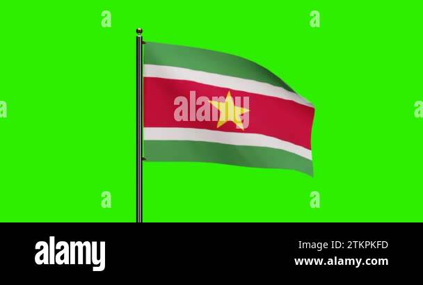 3D Rendered Suriname National Flag Waving Animation with Realistic Wind ...