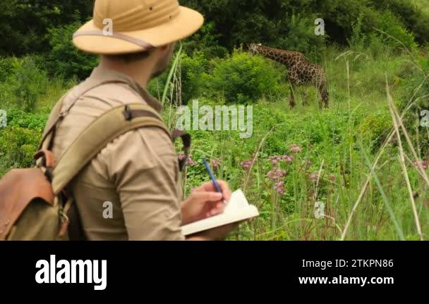 Zoologist wild animals Stock Videos & Footage - HD and 4K Video Clips ...