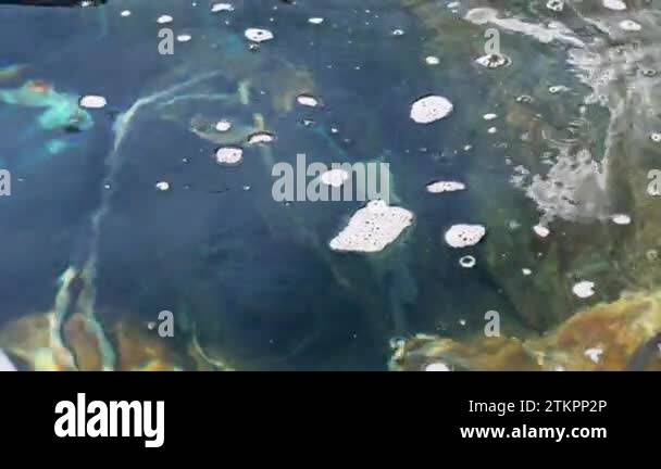 Toxic refinery sludge Stock Videos & Footage - HD and 4K Video Clips ...