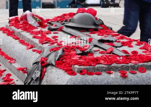 Remembrance Day in Ottawa, Canada. People put poppy flowers on Tomb of ...