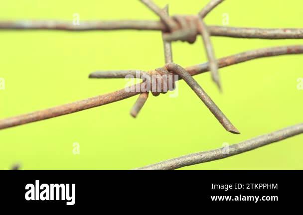 Texture rusty barb wire Stock Videos & Footage - HD and 4K Video Clips ...