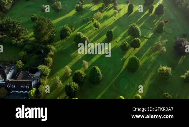 Trees casting shade Stock Videos & Footage - HD and 4K Video Clips - Alamy