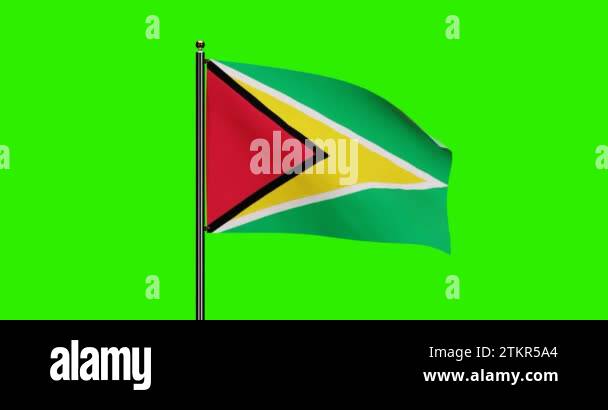 3D Rendered Guyana National Flag Waving Animation with Realistic Wind Motion, National flag of ...