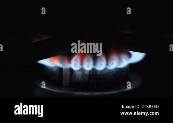 Ignited gas on a burner close-up. Burning blue flame of gas on a ...